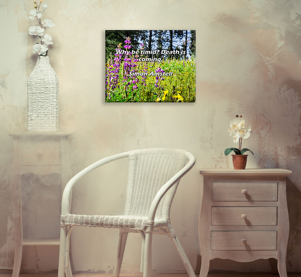 Latitude Run® Artsy Quote "Why be timid? Death is coming." By Simon Amstell Gallery Wrapped ...